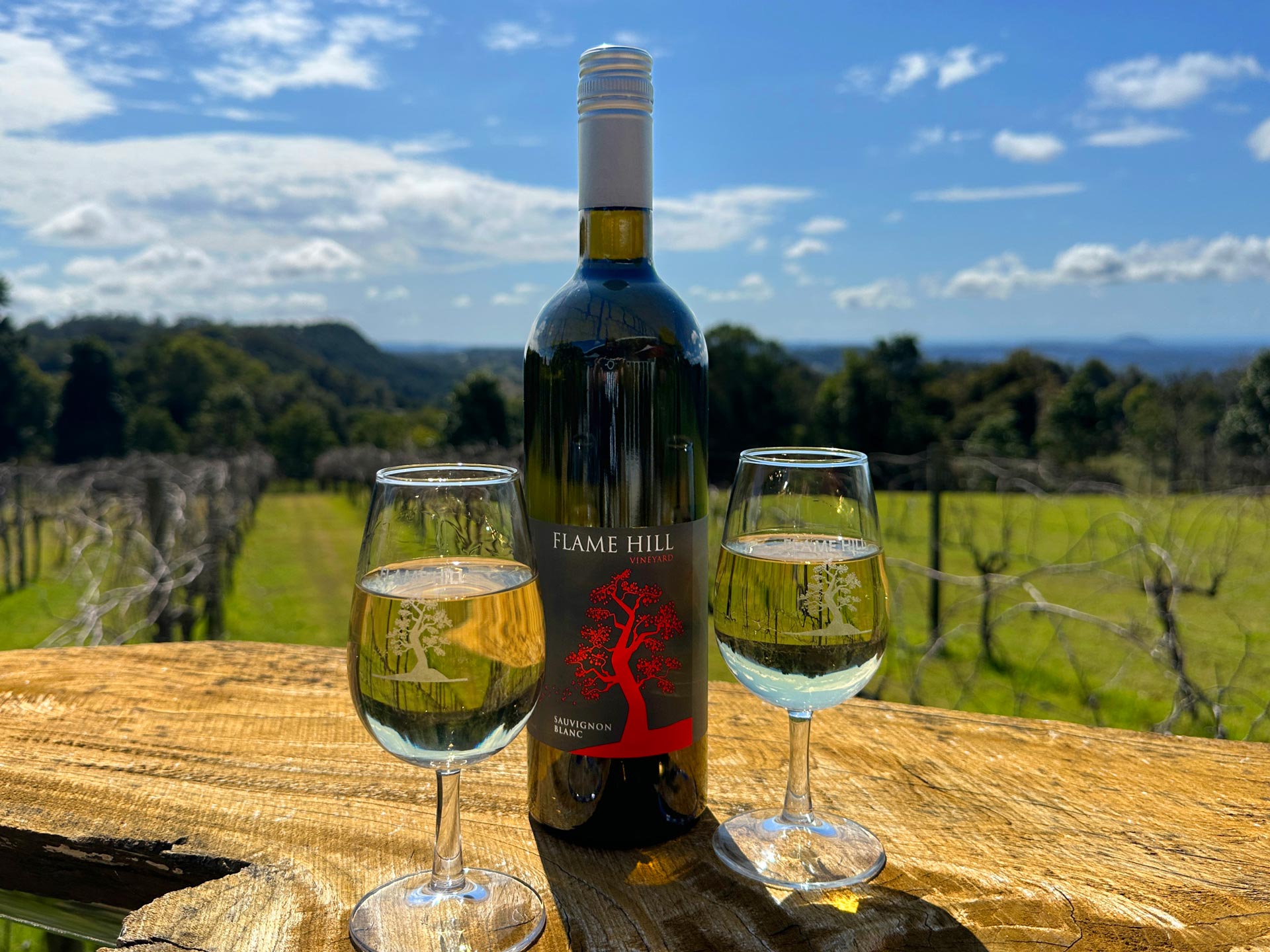 Montville Vineyard, Sunshine Coast Hinterland, Queensland – Flame Hill